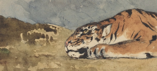 James Hanken: Animal - Bookanista